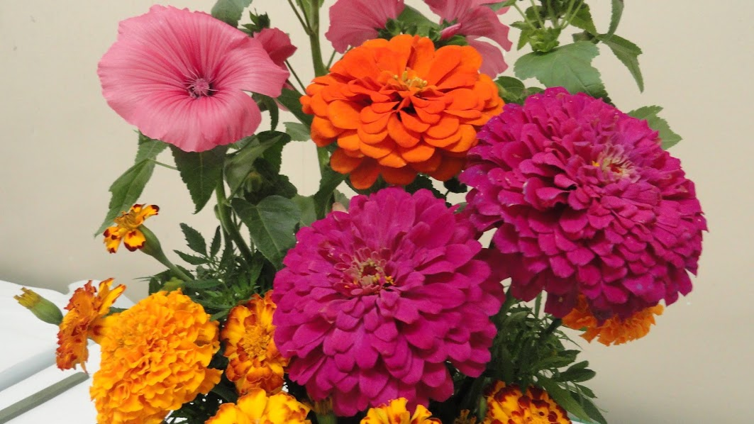 Flower Communion followed by the Annual Meeting - Pilgrim House ...